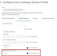 Issue: Citrix Gateway Authentication Loop After ADC 13.1 Firmware Update
