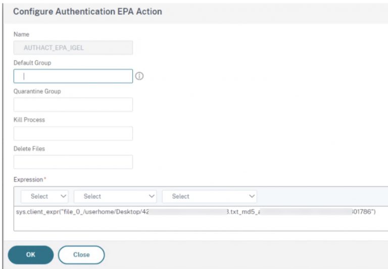 HowTo: NetScaler ADC EPA Scans on IGEL Endpoints