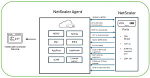 How to Install and Apply NetScaler Flex Licensing
