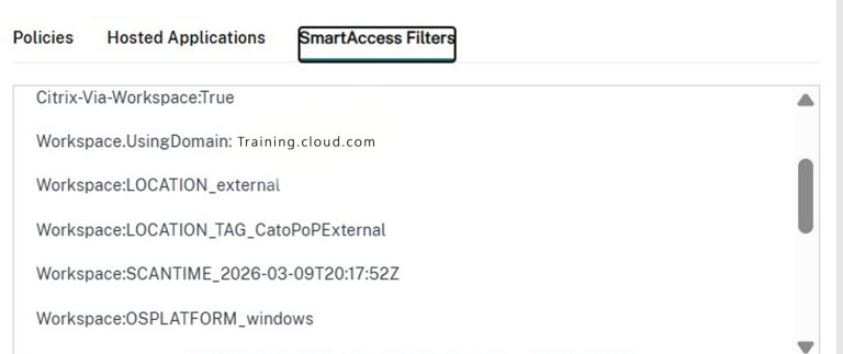 Enhance User Performance and Security Using Citrix DaaS Adaptive Access ...